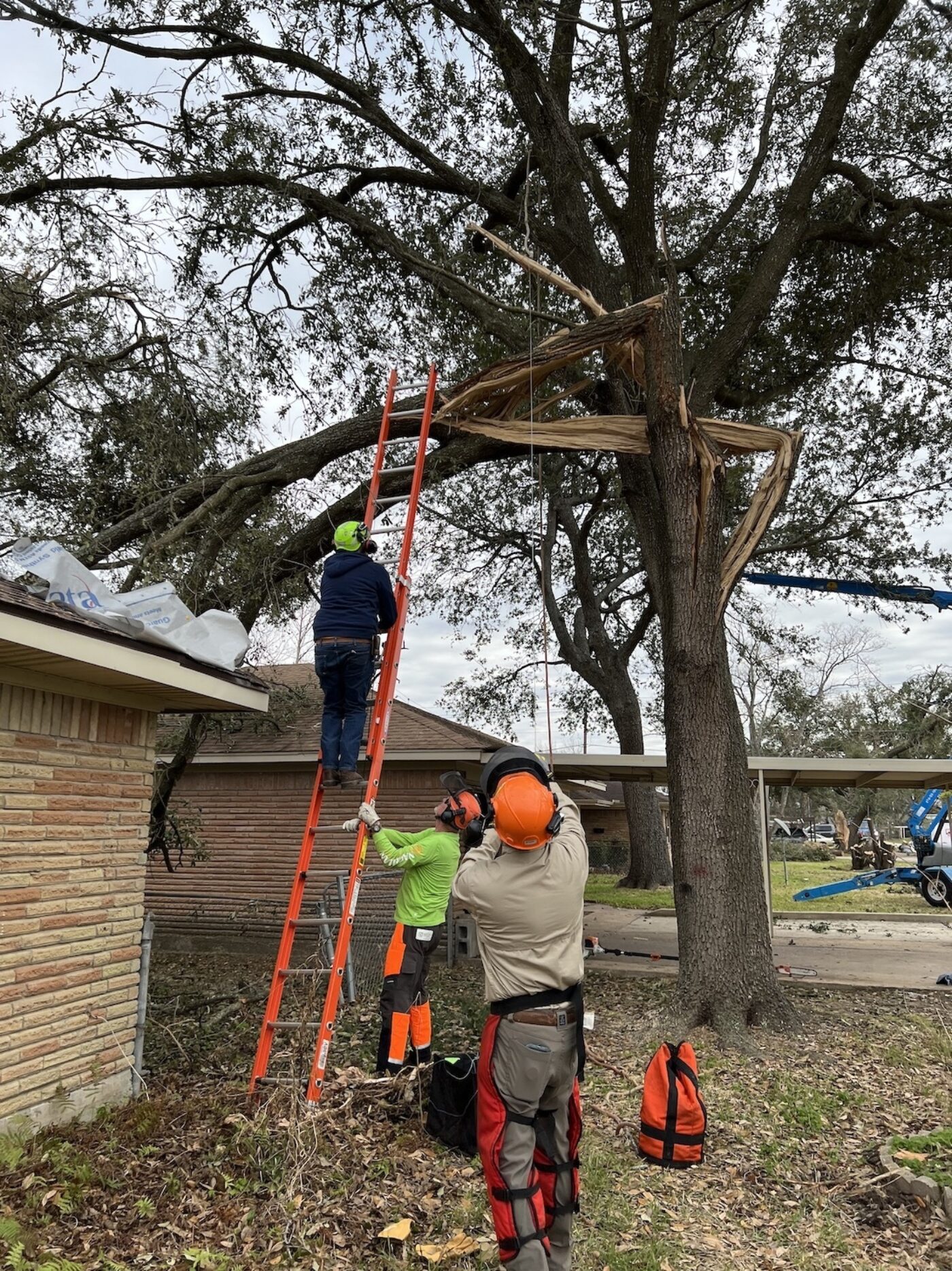Neighbors helping neighbors: TBM volunteers serve in their communities ...