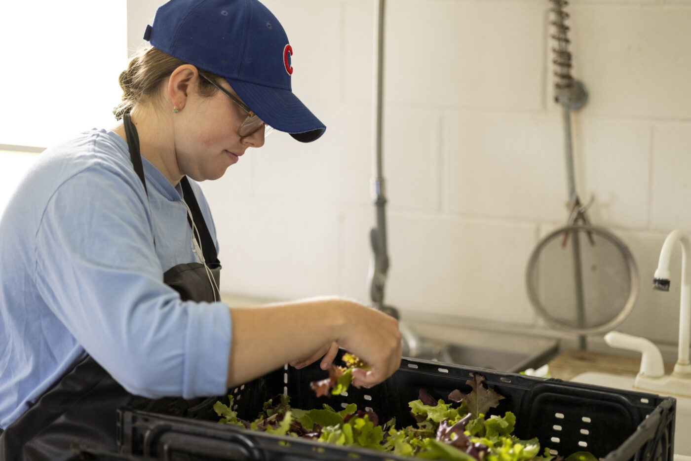 Hunger Offering recipient offers produce prescriptions, urban farming ...