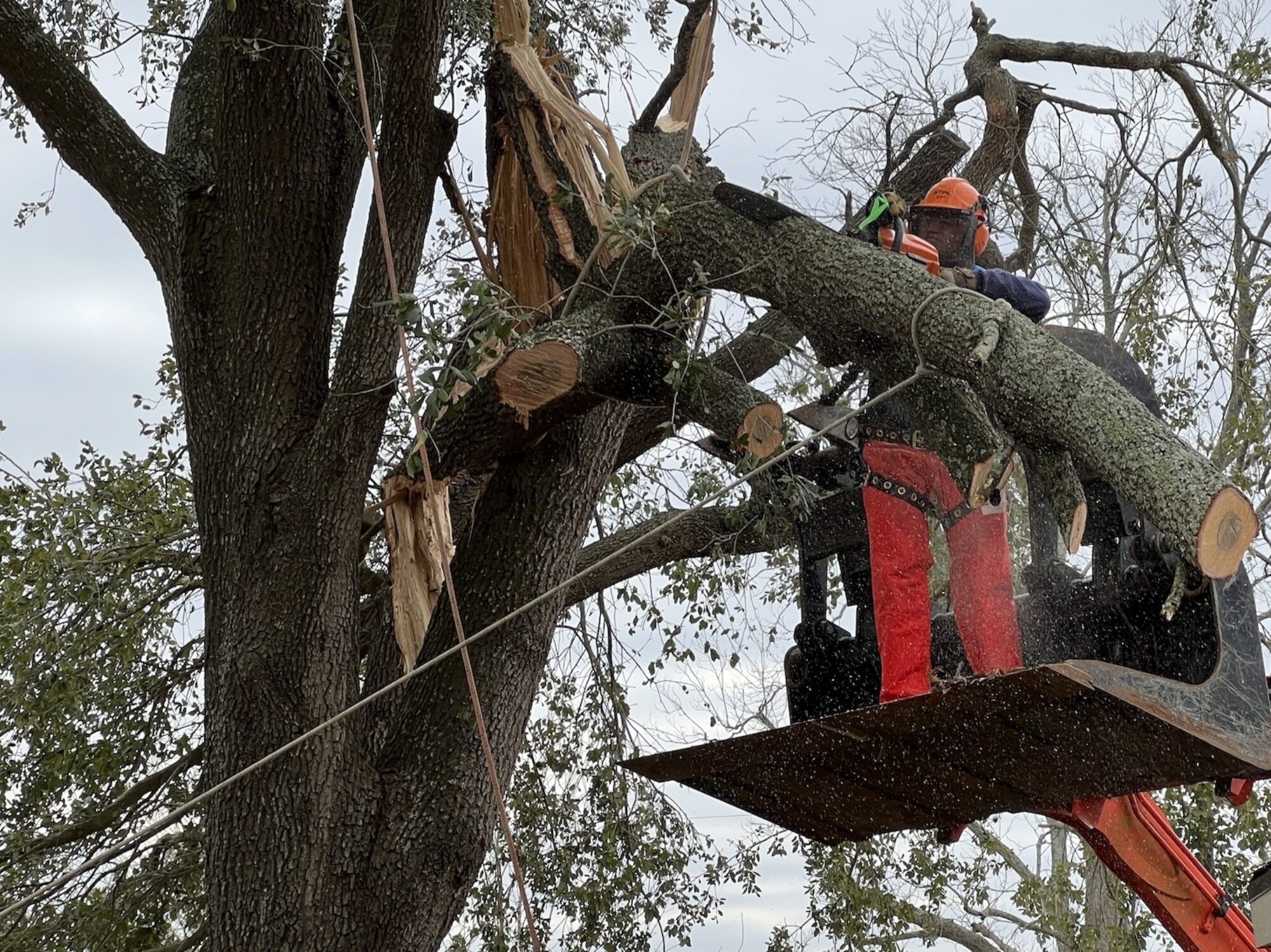 Neighbors helping neighbors: TBM volunteers serve in their communities ...