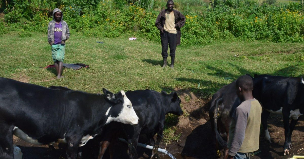 Hunger Offering cultivates crops, community, church in Democratic ...